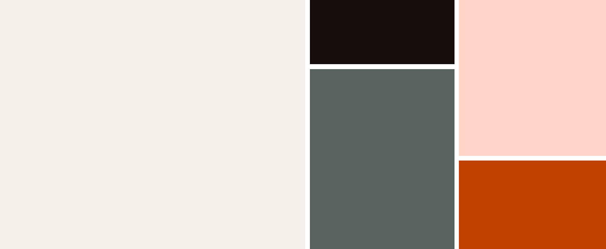 Our Process for New Project Brands | NPA Projects